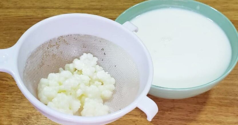 Como Fazer Kefir do Jeito Certo para o Máximo de Benefícios. Receitinha ...
