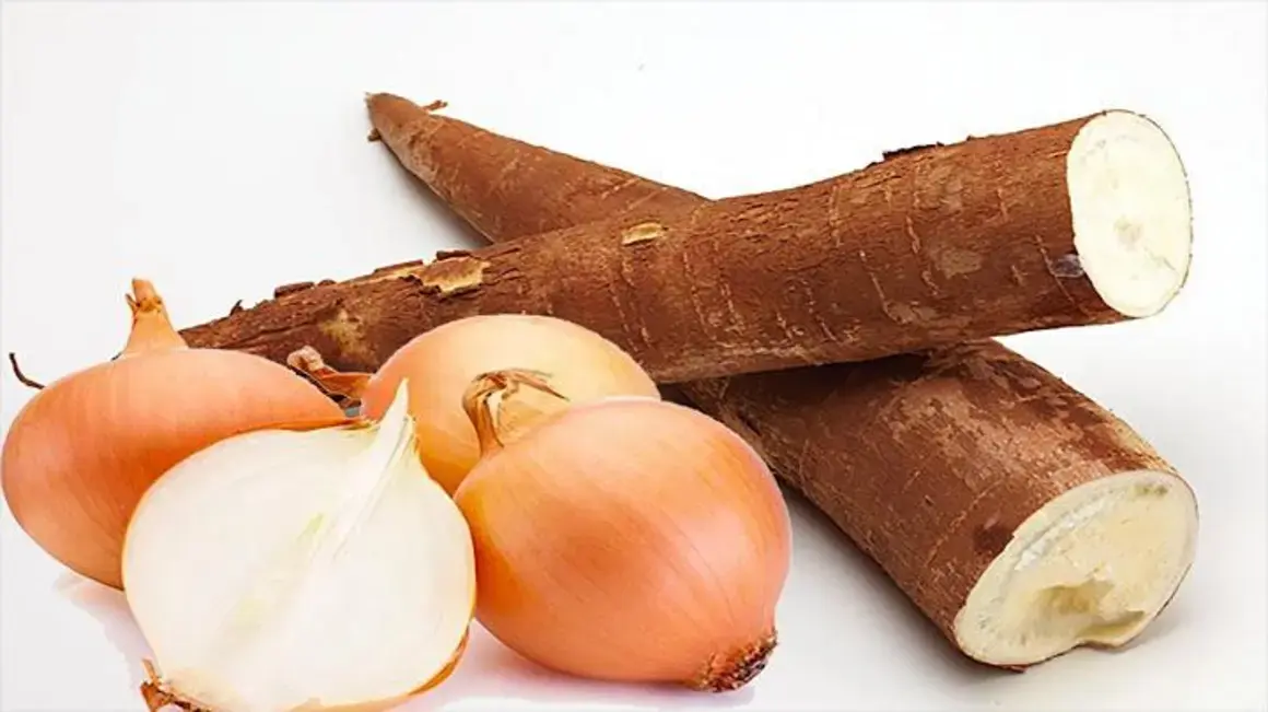 Receita de Mandioca: Aprenda a preparar uma deliciosa receita caseira e ...