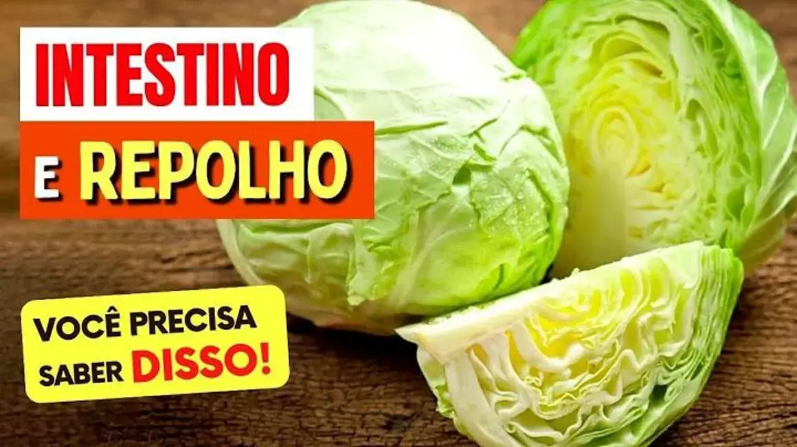 Receita de Repolho: Aprenda a Fazer uma Saborosa e Saudável Salada de ...